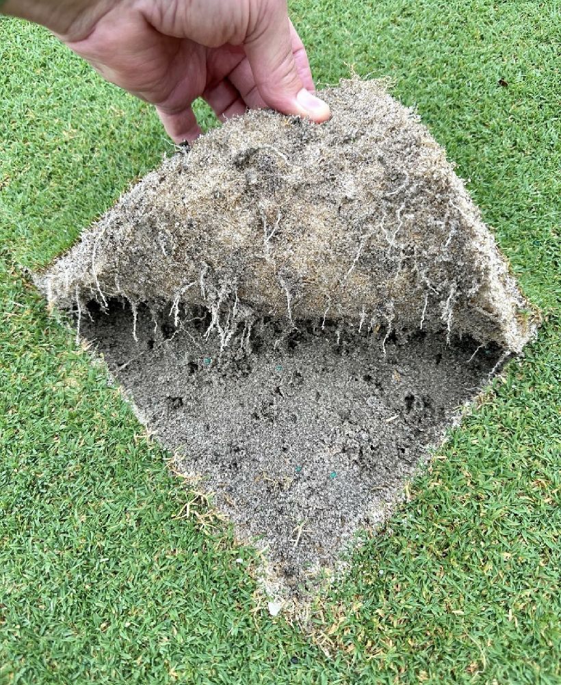 FSGA Club Membership - FSGA