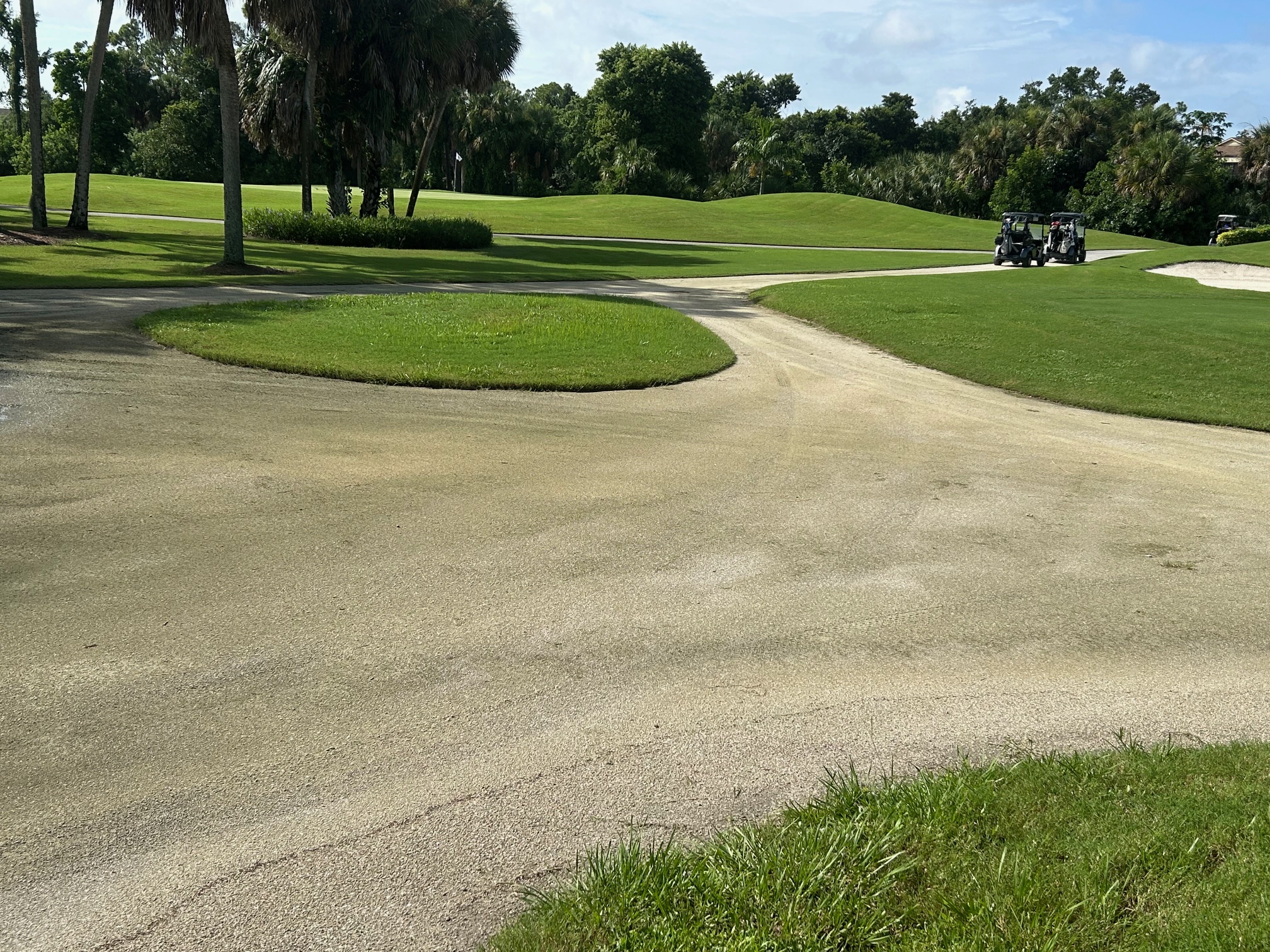 Rules of Golf - Crushed Shell/Sand Paths - FSGA