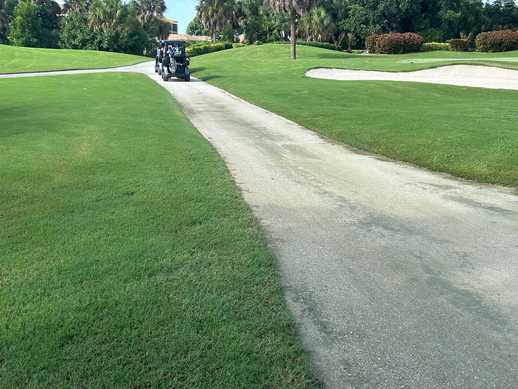 Rules of Golf - Crushed Shell/Sand Paths - FSGA