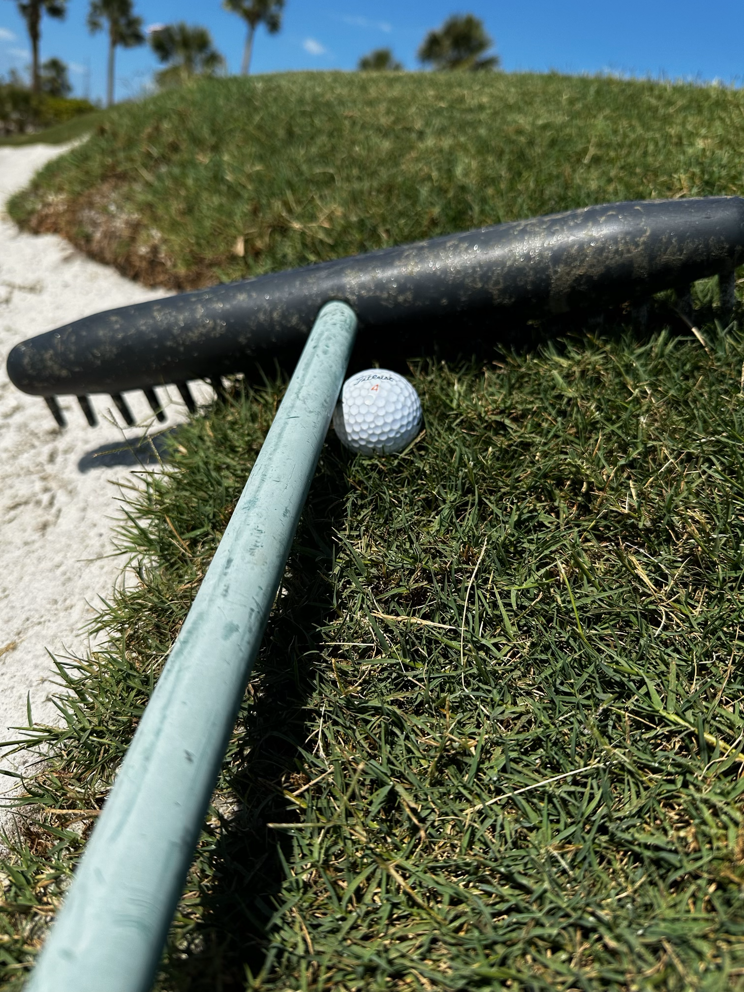 Rules of Golf - Ball Next to Rake - FSGA